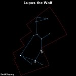 Lupus the Wolf, a constellation in southern skies