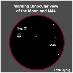 See the Beehive Cluster and moon in binoculars