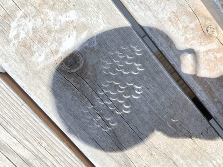 How to watch a solar eclipse safely