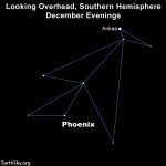 Phoenix is one of the Southern Birds