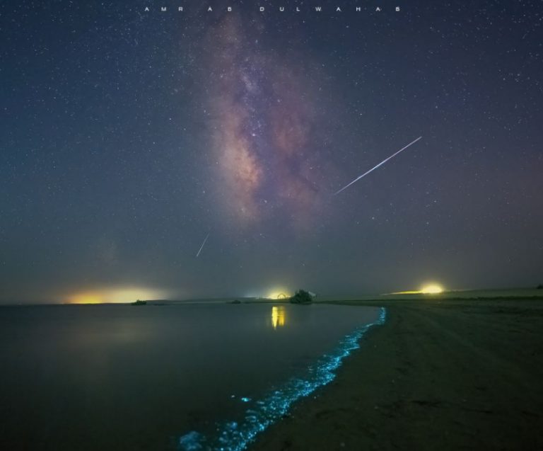 What is bioluminescence? It’s a living light