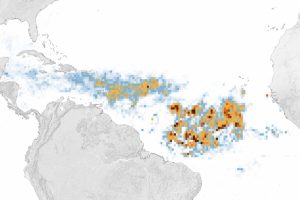 Largest-yet seaweed bloom headed to Florida and Caribbean