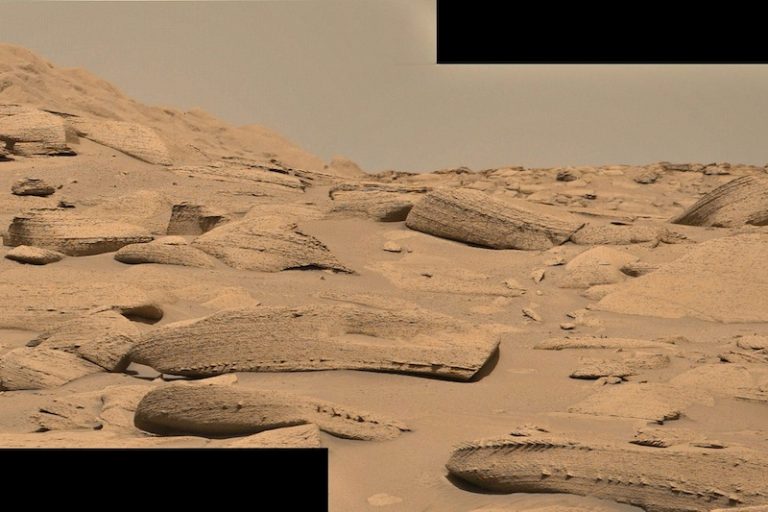 Dragon bones on Mars? Curiosity spies weird rocks
