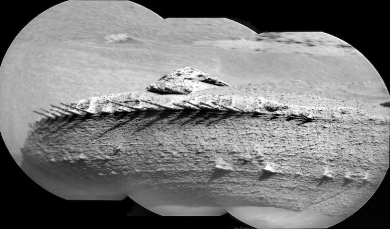 Dragon bones on Mars? Curiosity spies weird rocks