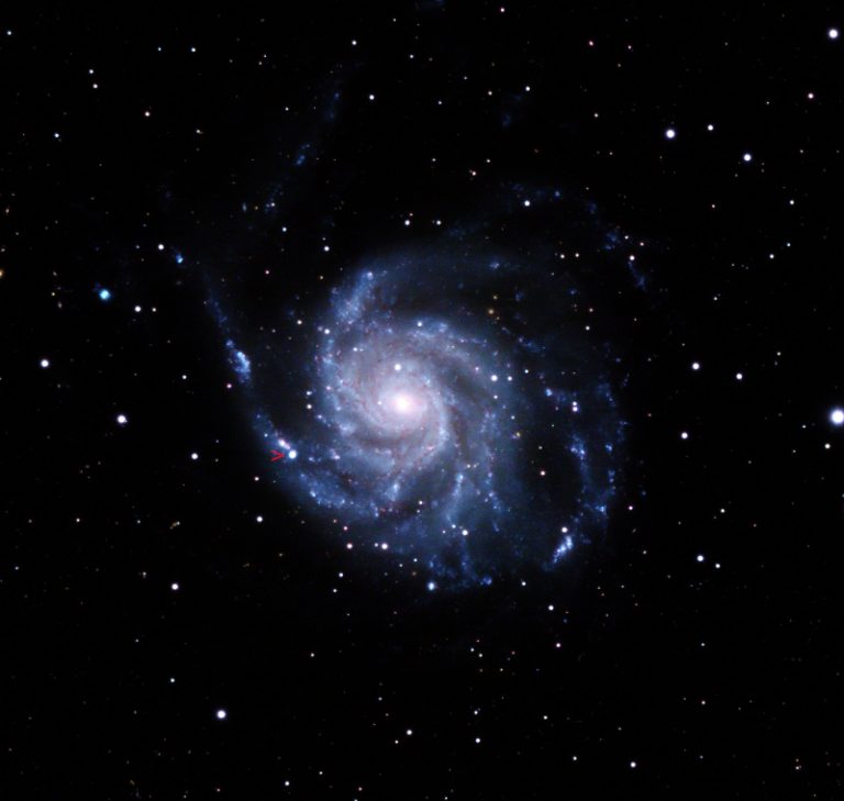 New supernova! M101 explosion is closest in a decade
