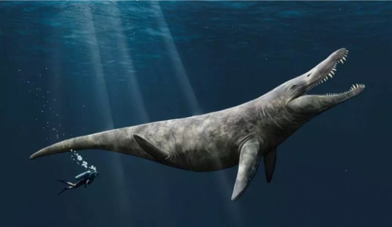 Jurassic-age giant reptile was twice as big as killer whale