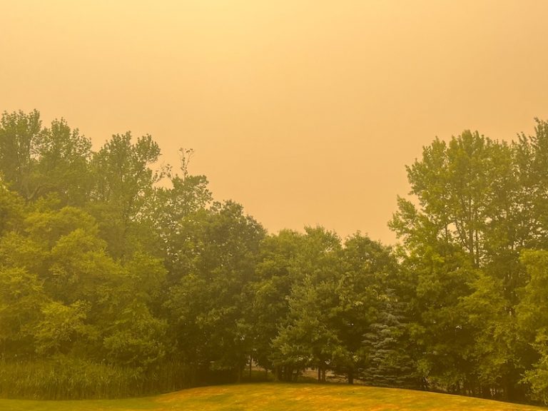 EarthSky | Red suns and moons are from wildfires
