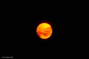 EarthSky | Red suns and moons are from wildfires