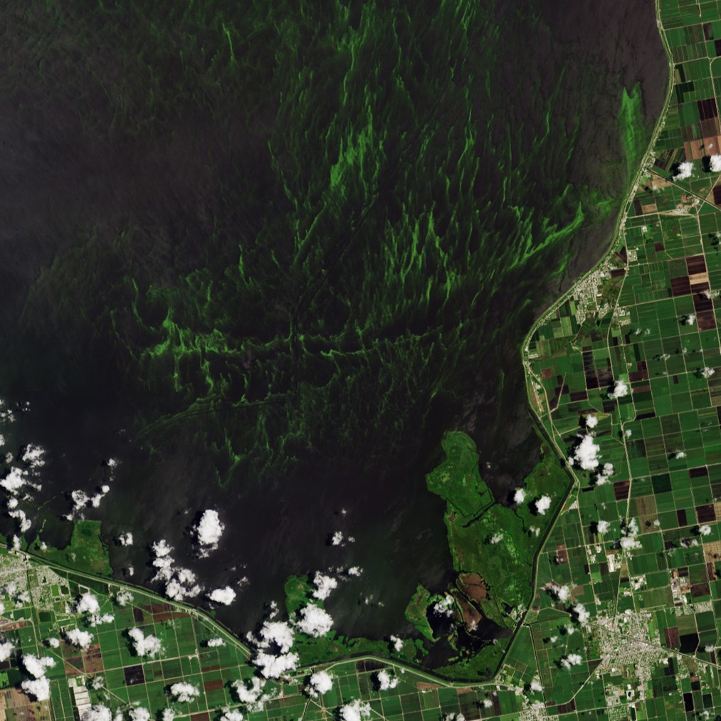 florida | EarthSky