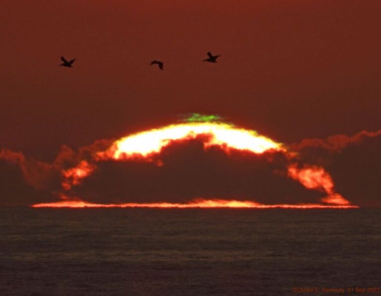 What’s a green flash and how can I see one?