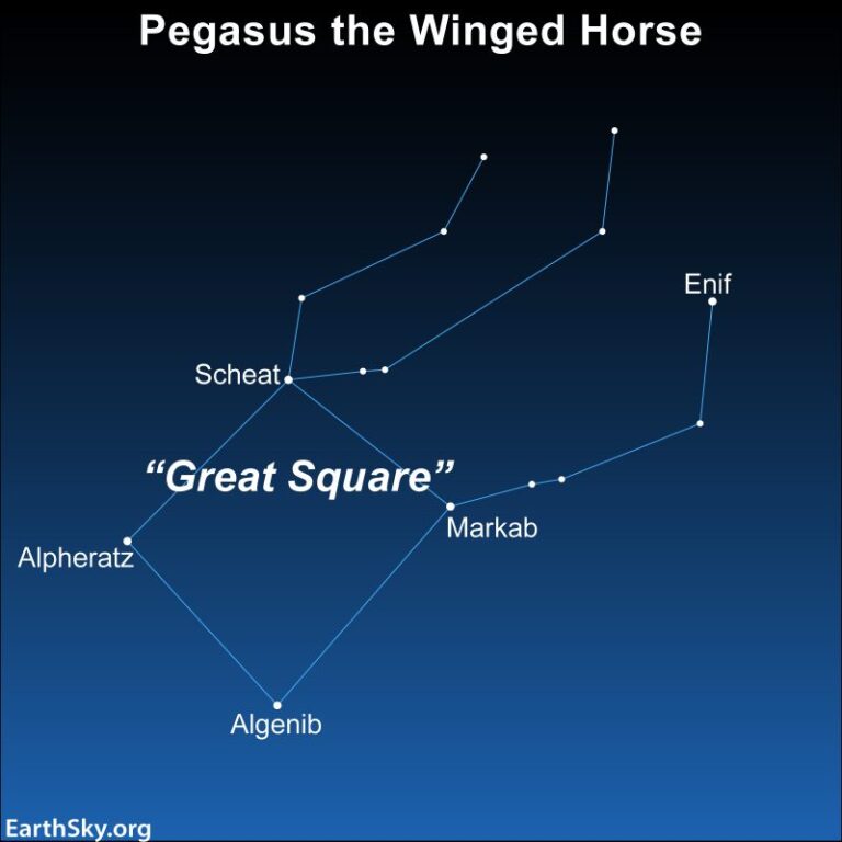Great Square of Pegasus gallops into the autumn sky