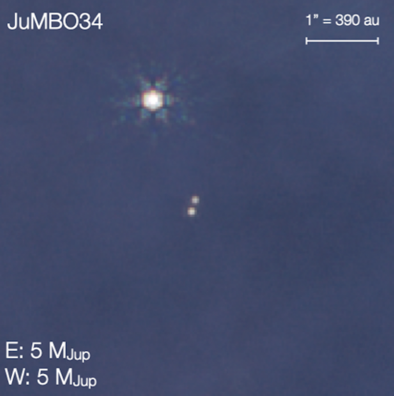 Mystery in the Orion Nebula: Pairs of rogue planets?