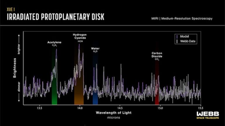 Rocky exoplanets can form in the most extreme environments