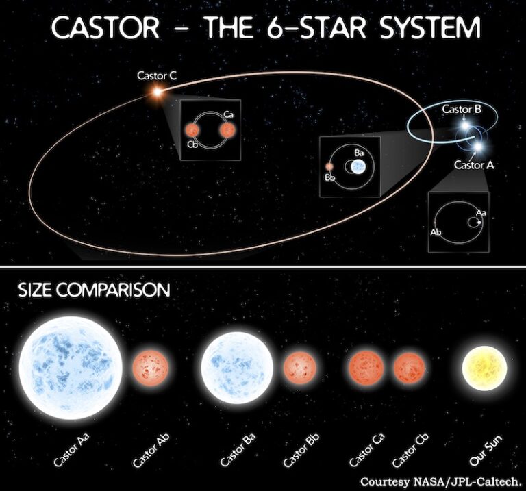 Castor is 6 stars in one