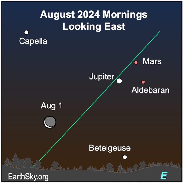 Visible planets and night sky guide for July and August