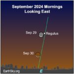 Visible planets and night sky guide for September