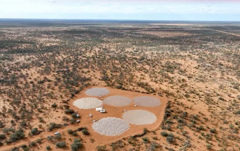 SKA telescope gets its ‘1st fringes’