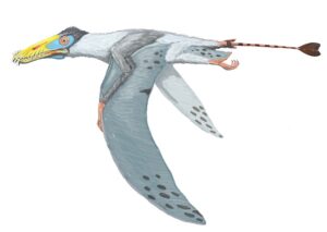 What did pterosaurs eat? New fossil study reveals their diet