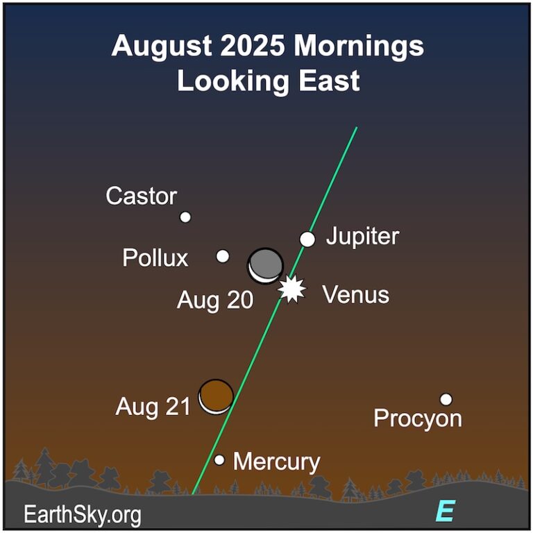 Best stargazing of 2025: Top events not to miss