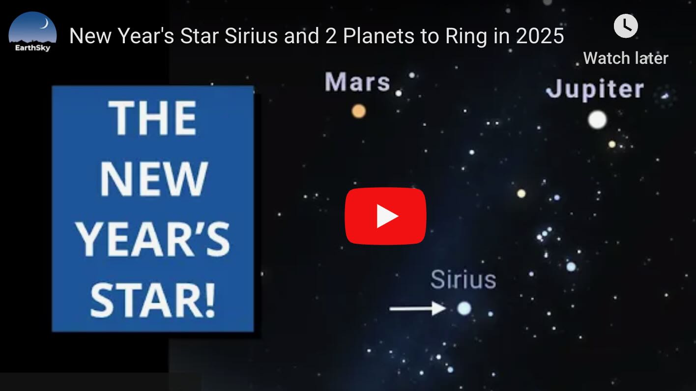 How Big Is Sirius Star Star Gazers | "Celebrate New Year's Eve With A