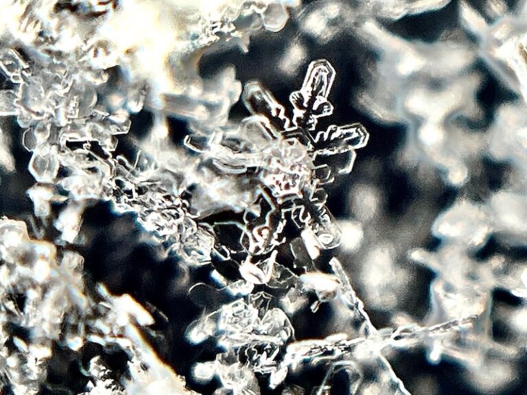 How snowflakes get their distinct and various shapes