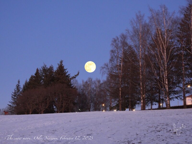 Snow Moon images from around the globe here!