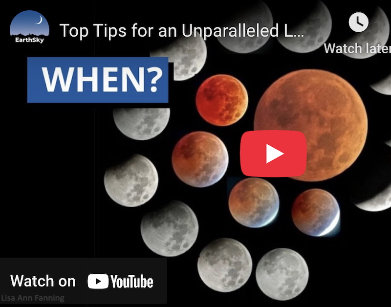 planets tonight | EarthSky