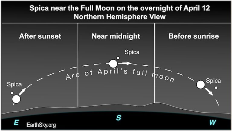 April full moon is the Pink Moon and a micromoon