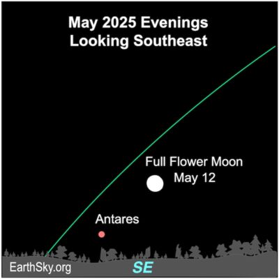 Visible planets and night sky guide for May