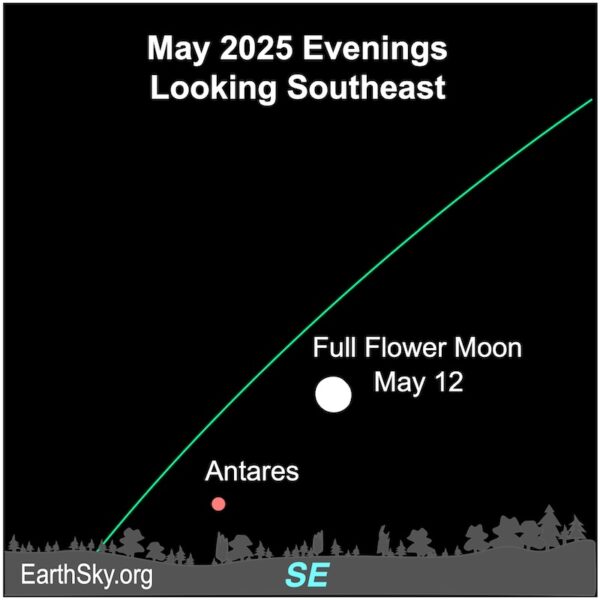 Visible planets and night sky guide for May