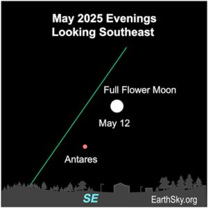 May’s full moon is called the Flower Moon