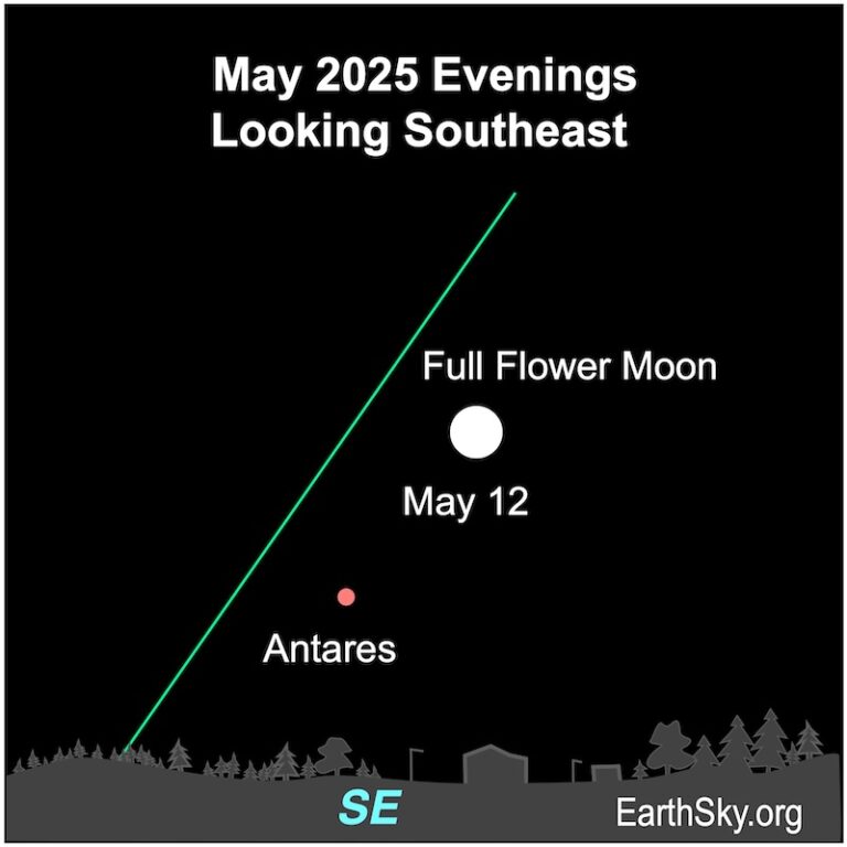 May’s full moon is called the Flower Moon