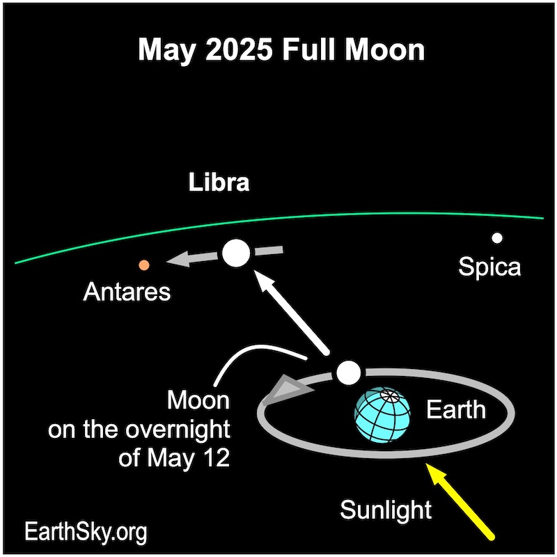May’s full moon is called the Flower Moon
