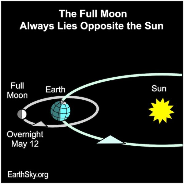 May’s full moon is called the Flower Moon