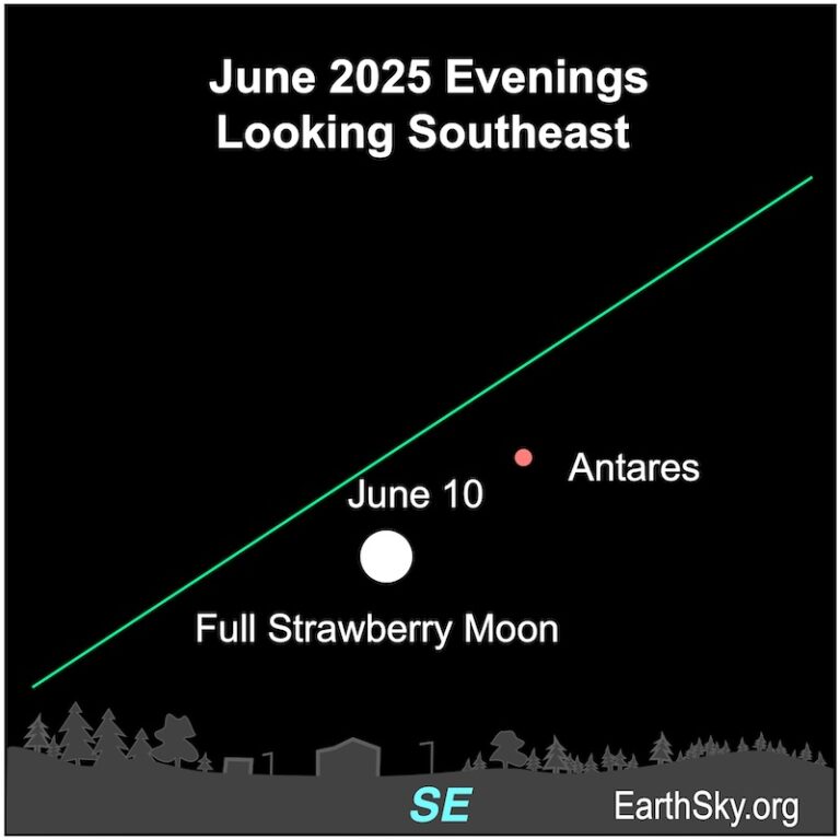 June full moon, lowest in decades, on June 10-11