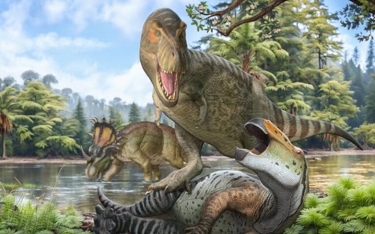 Why did big, fierce T. Rex have such tiny arms?