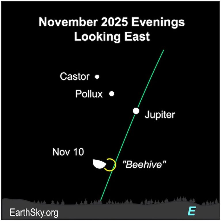 Visible planets and night sky guide for November