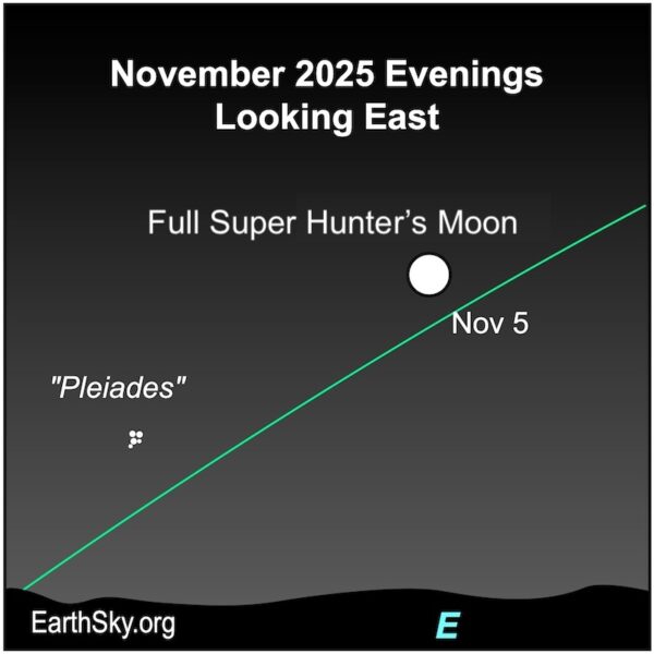 news sciences: Super Hunter’s Moon – 2025’s brightest full moon – on ...