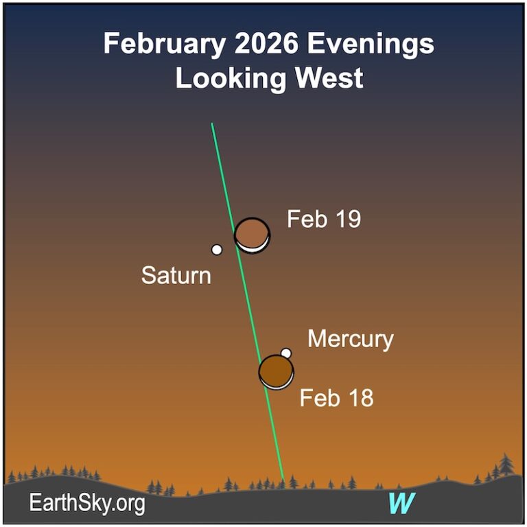 Visible planets and night sky guide for February