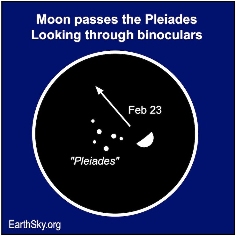 Visible planets and night sky guide for February