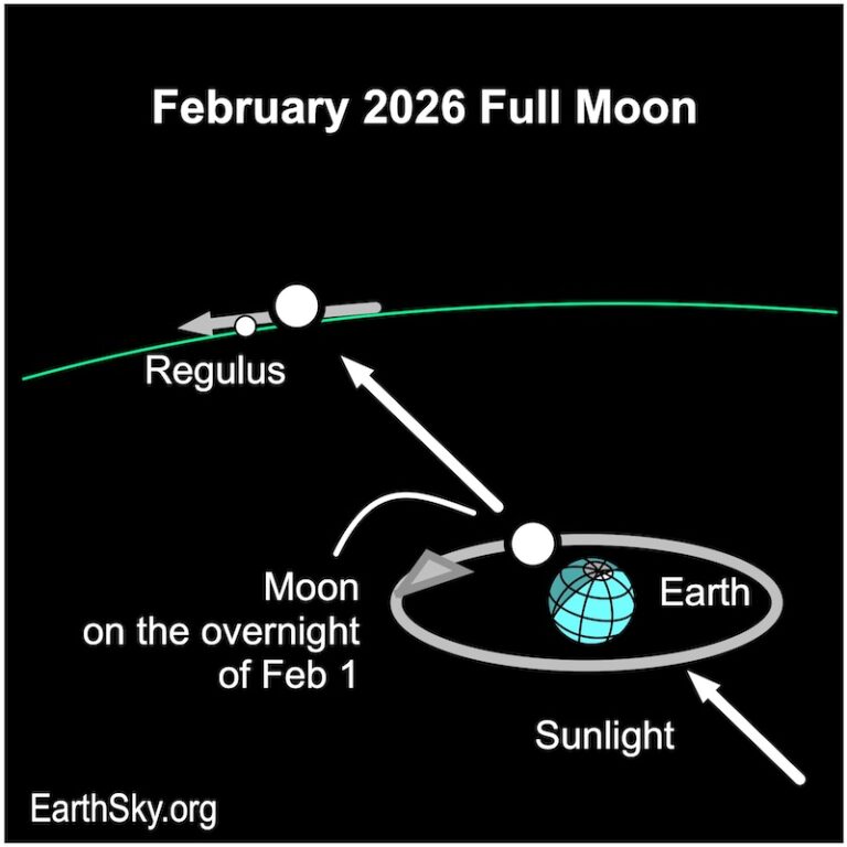 The February full moon is the Snow Moon on February 1