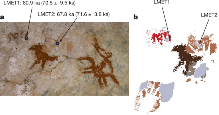 Oldest known rock art in the world found in Indonesian cave