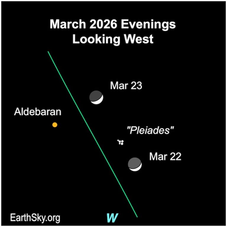 Visible planets and night sky guide for March