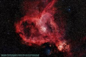 For you, Valentine. Heart photos from nature