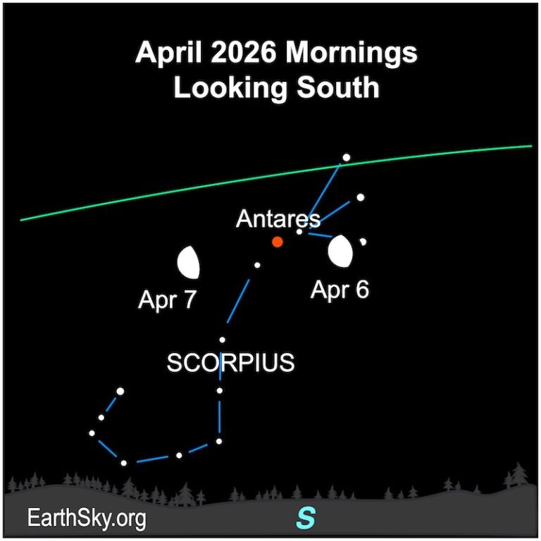 Visible Planets and Night Sky Guide for March and April 2026 | Deep ...