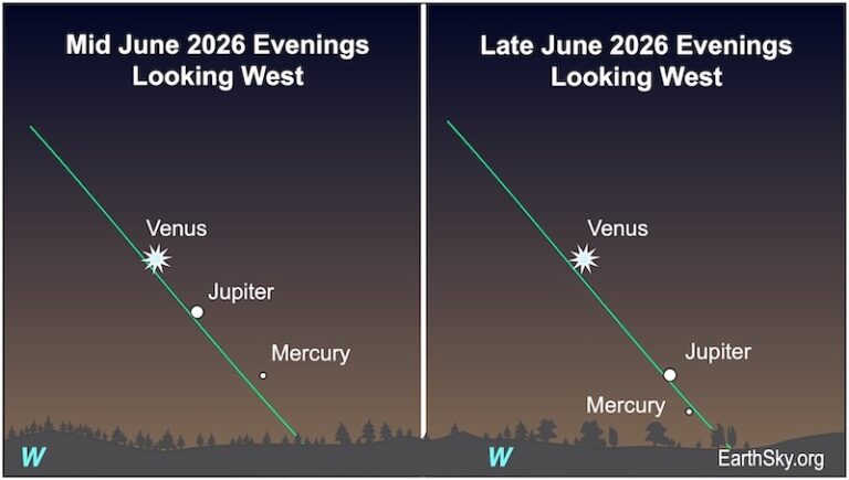 Visible planets and night sky guide for June