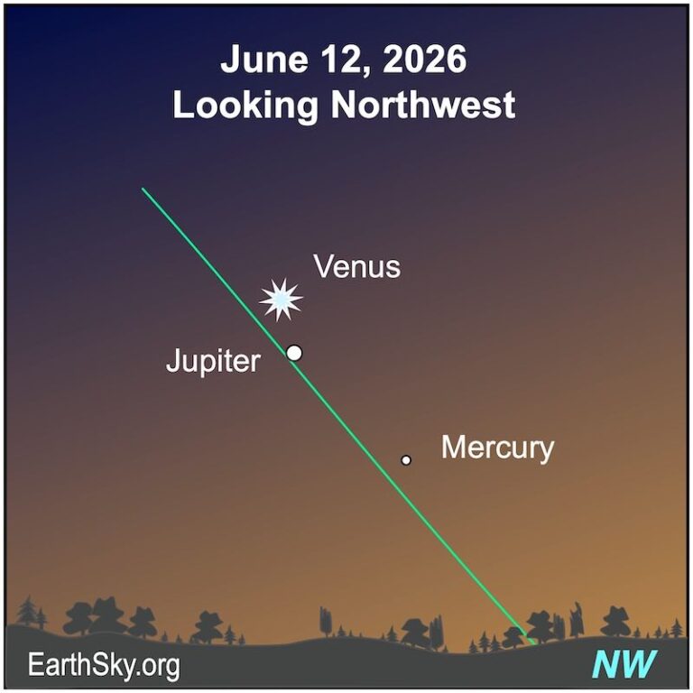 Visible planets and night sky guide for June